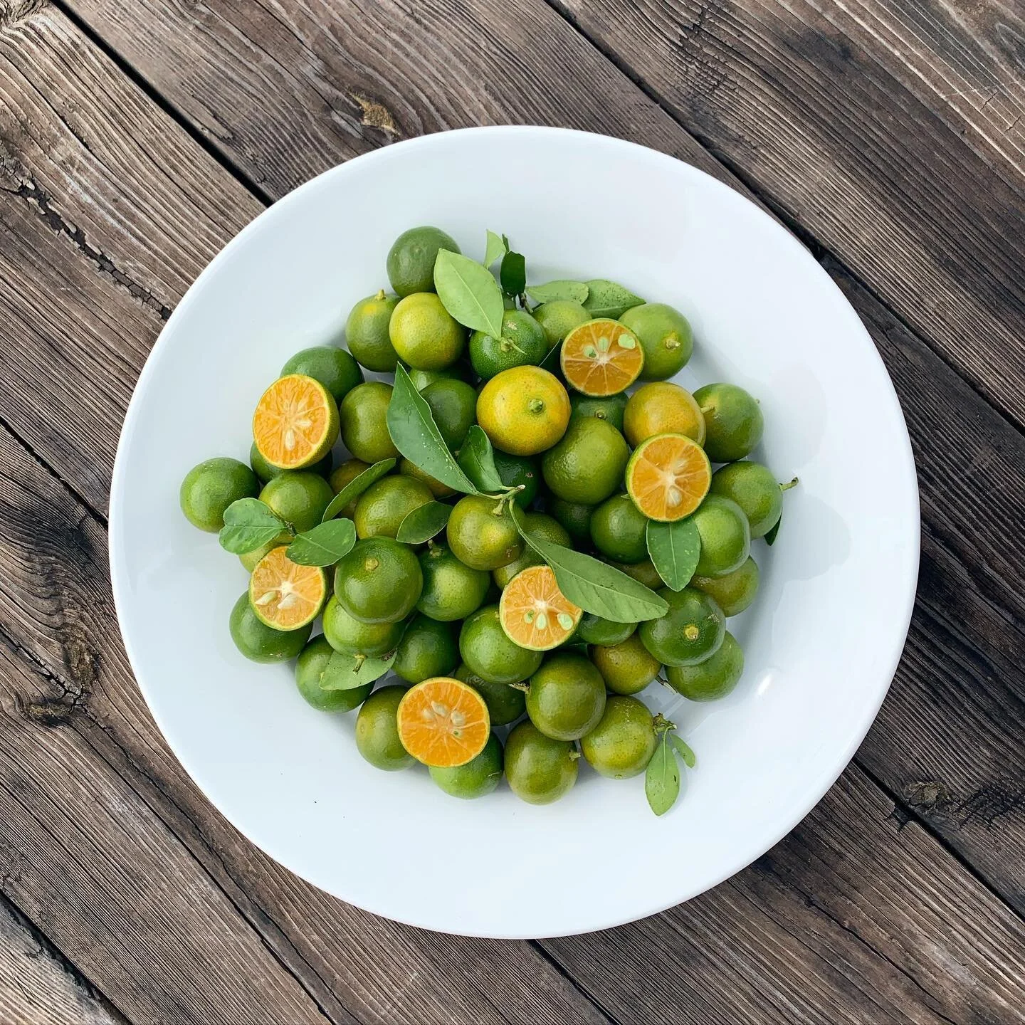 Gallery — Abstrakt Filipino Essence