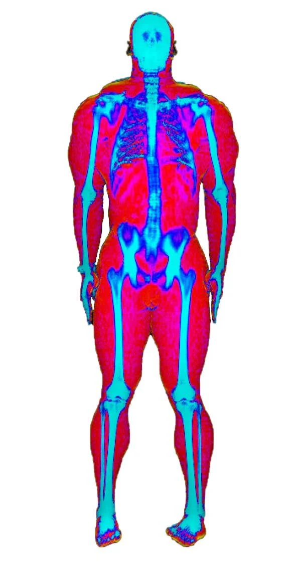 DexaVan | Mobile DEXA | Body Composition Scans Vancouver, WA & Portland, OR