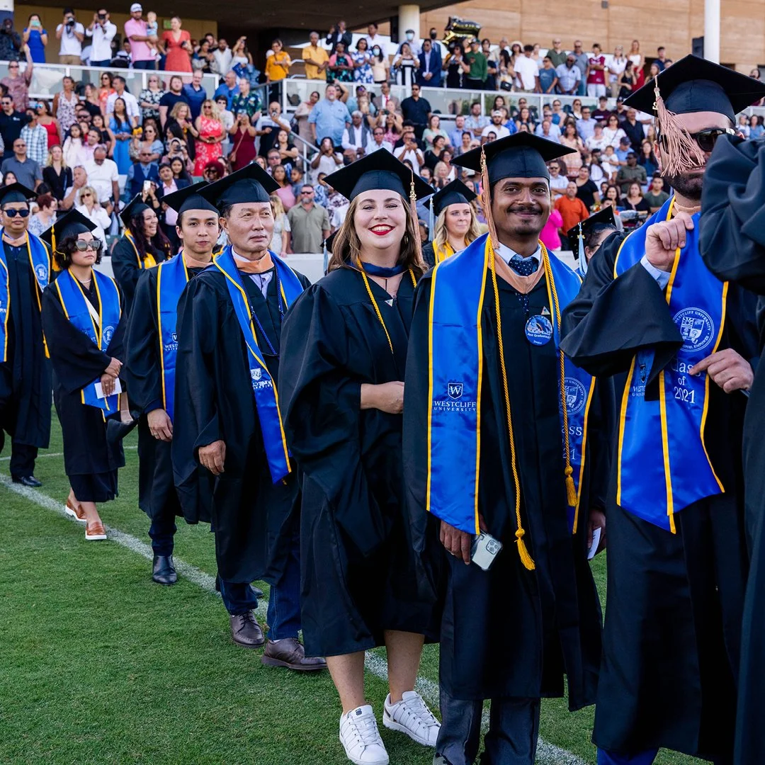 OPT全网最全解析 - OPT被拒怎么办？怎样申请OPT最稳？ | 🔥美国OPT第一选择 - 野火教育