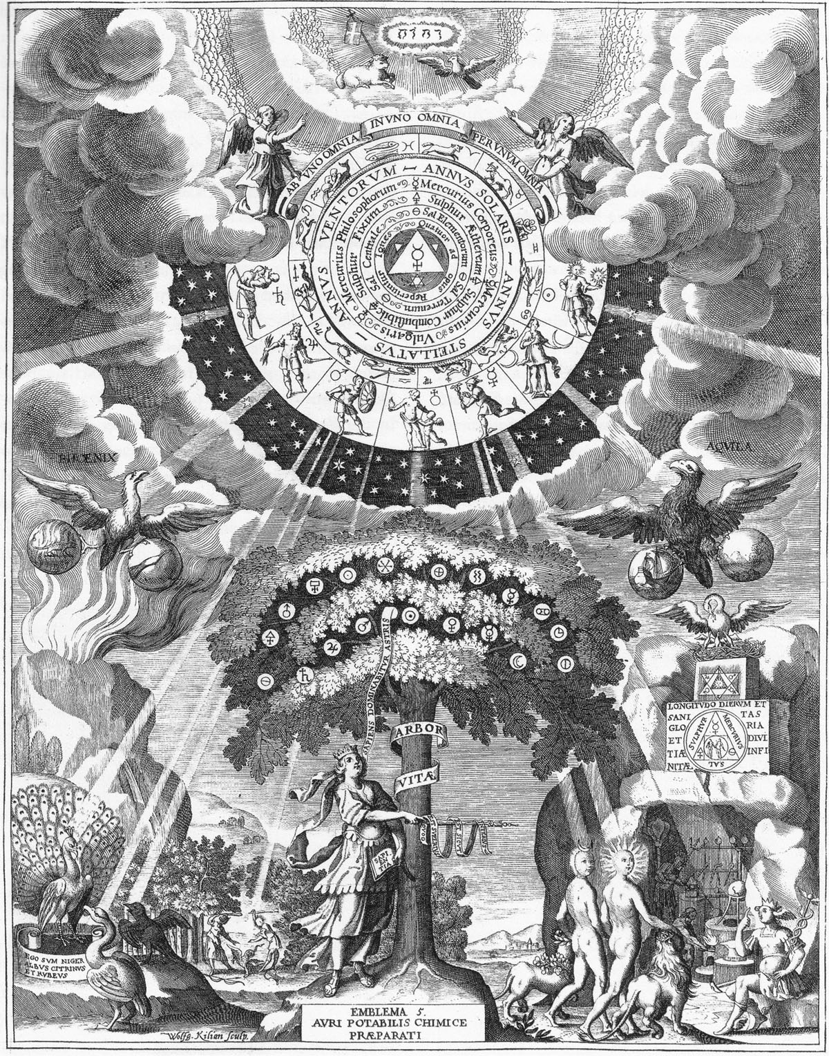 【破格値下げ】 HERMETIC kids-nurie.com