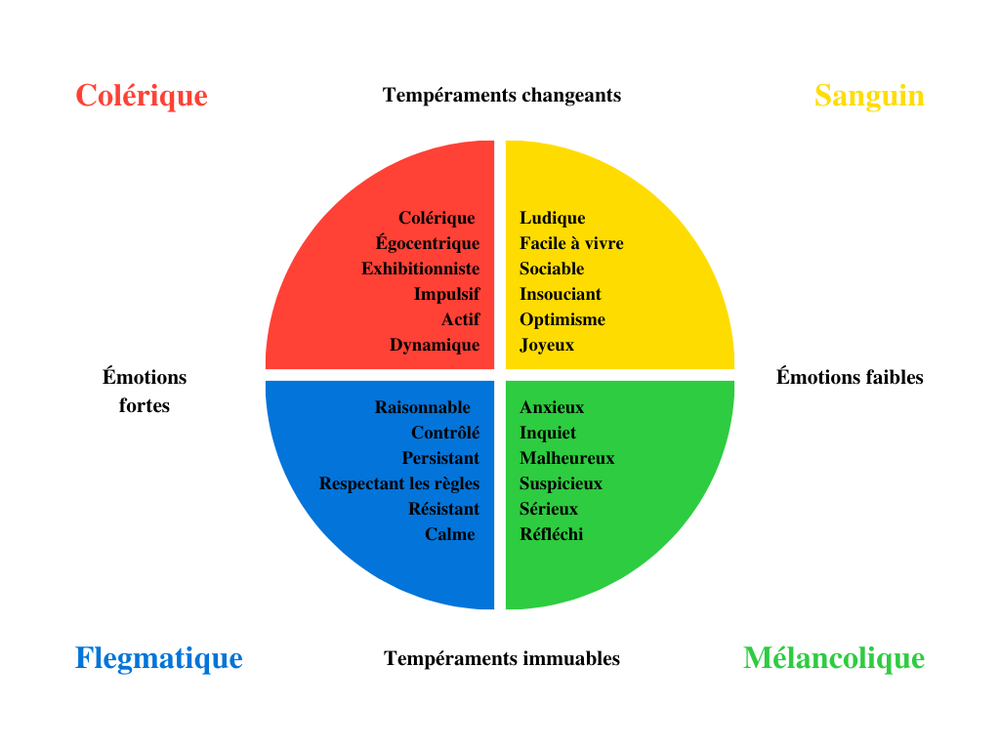 Types de personnalité : les 4 tempéraments — Vecteur de croissance