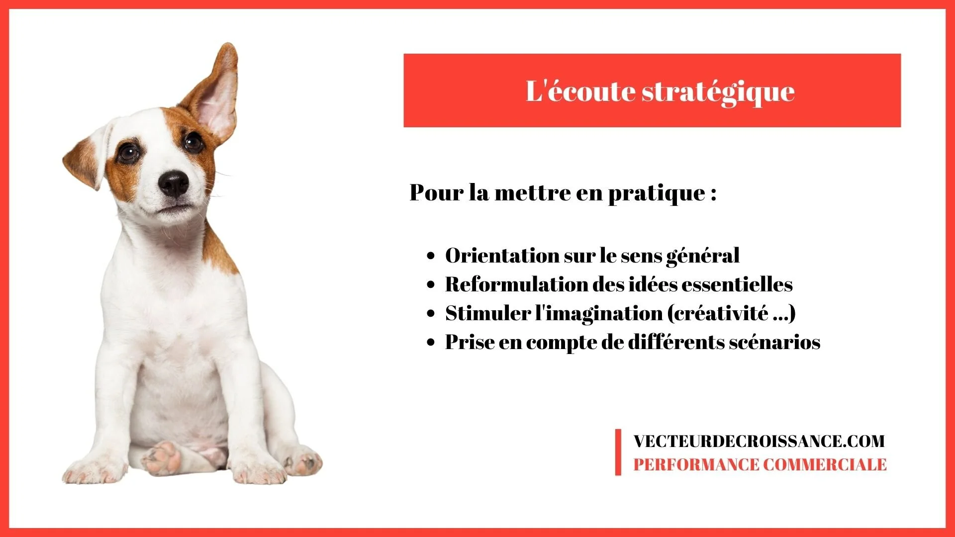 Les 6 motivations d'achat et 4 styles de client — Vecteur de croissance