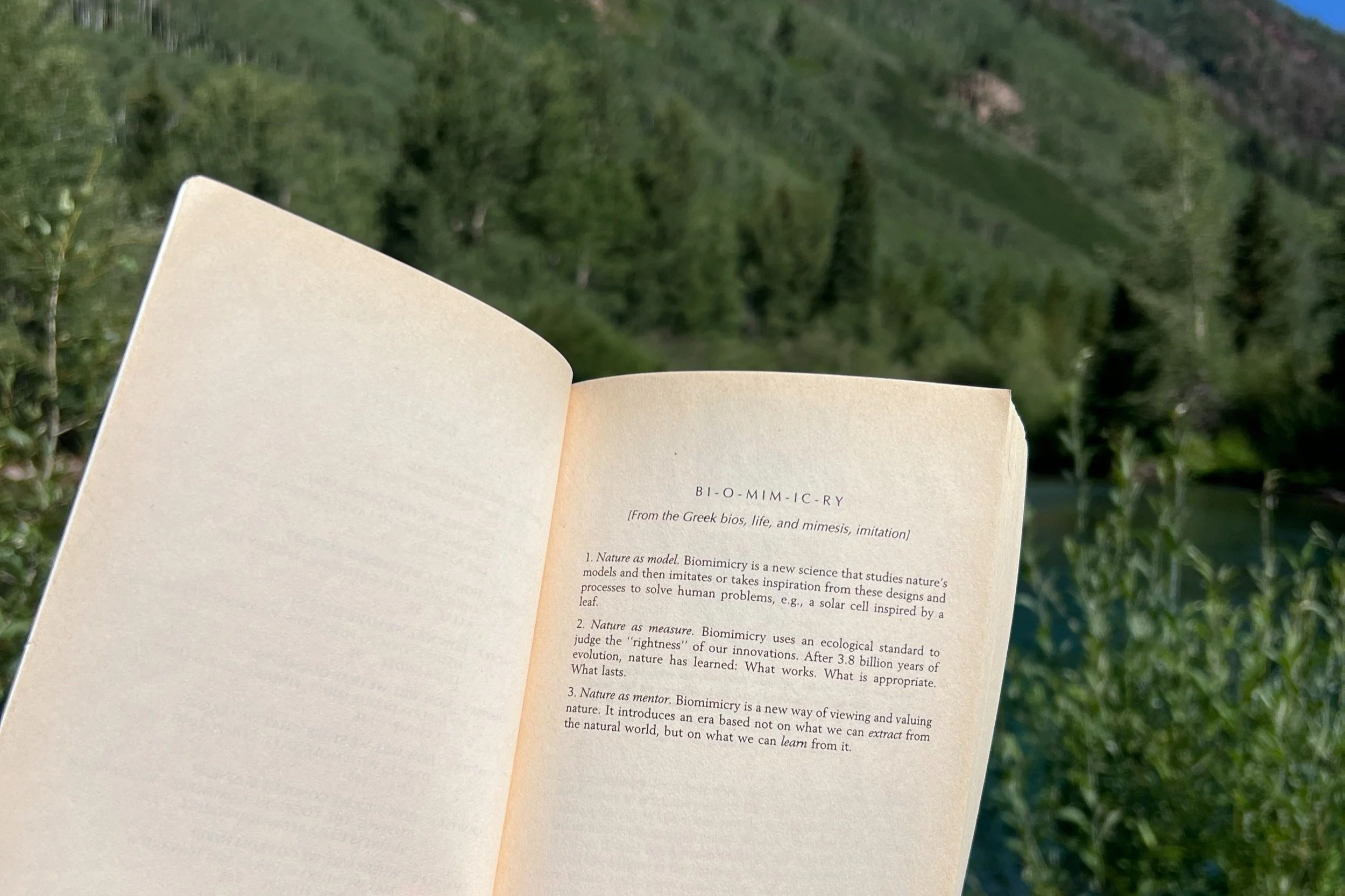 Book Recommendation: Innovation Inspired by Nature by Janine M. Benyus ...