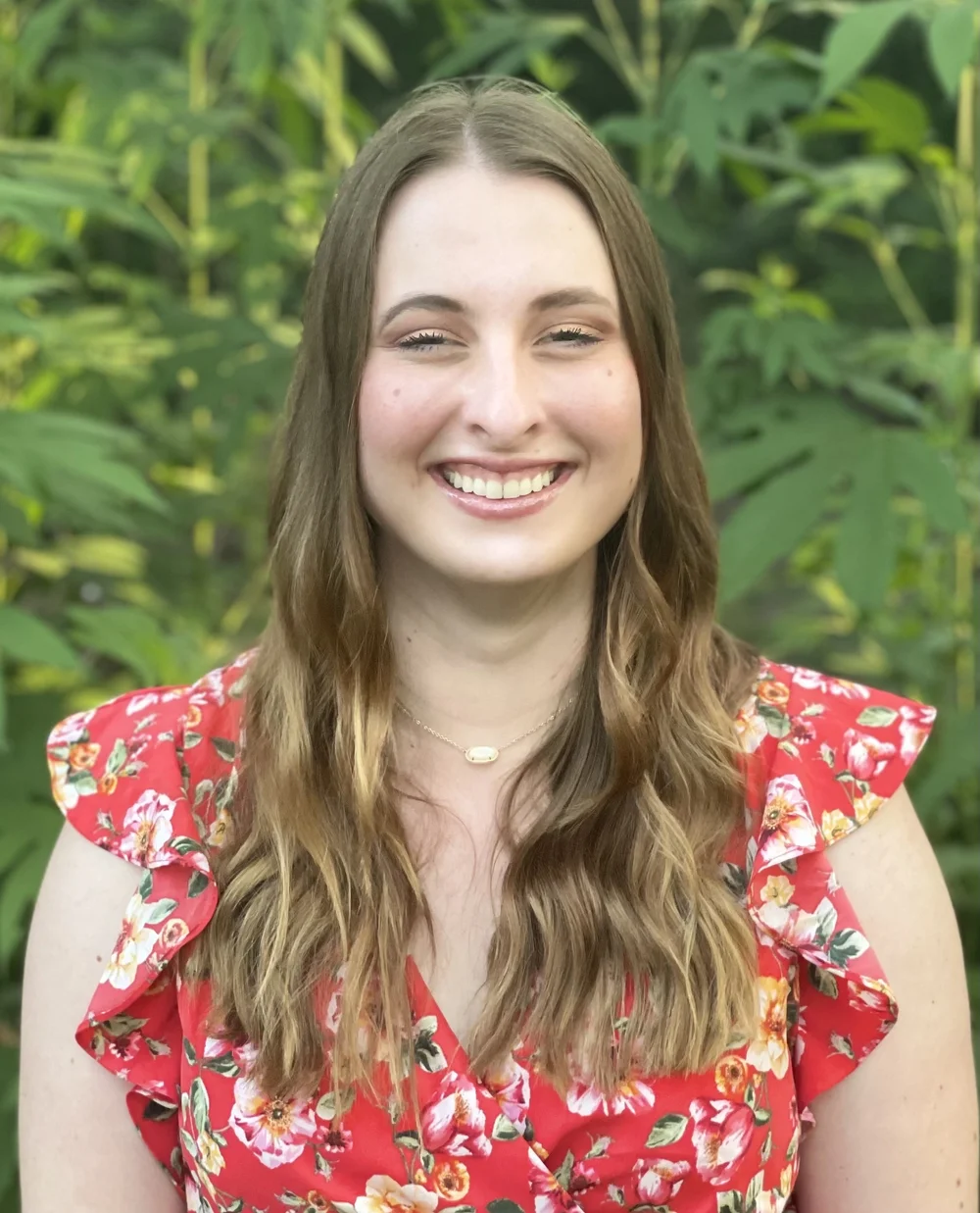 Divine Mercy Counseling, PLLC