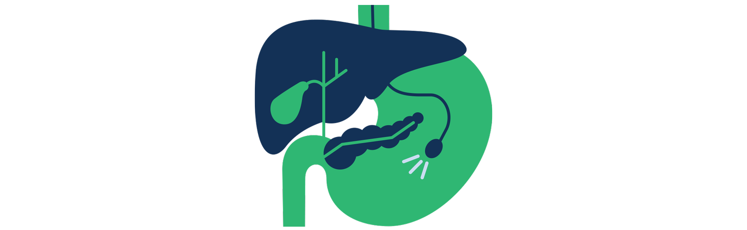 ERCP: Endoscopic Retrograde Cholangeo Pancreatography — Specialist ...