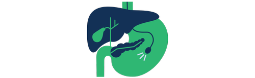 ERCP: Endoscopic Retrograde Cholangeo Pancreatography — Specialist ...
