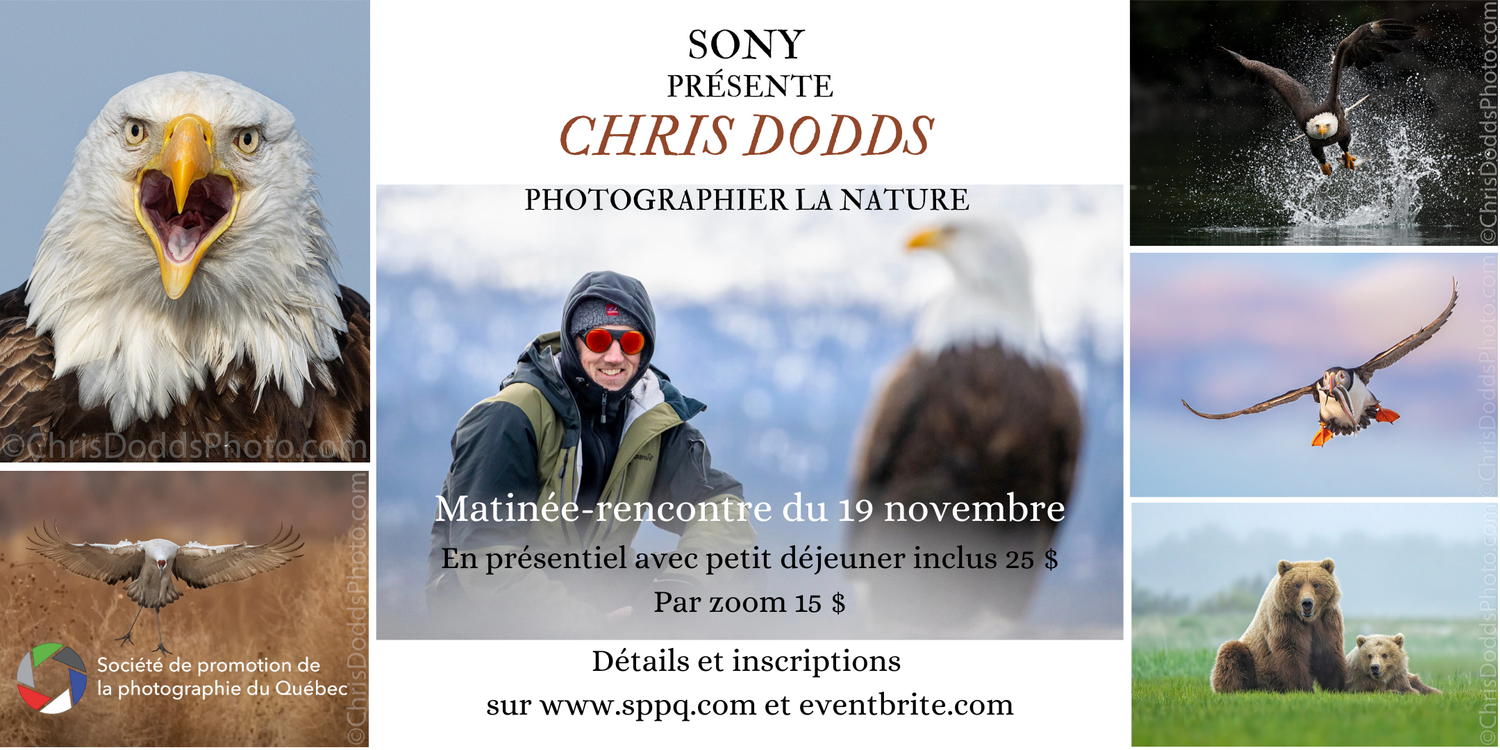 Christopher Dodds LIVE EVENTS — Nature Photography Blog