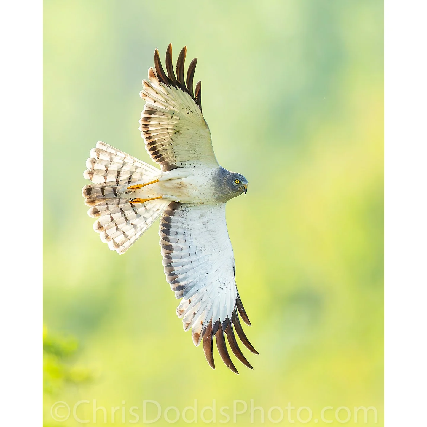 Nature Photography Blog