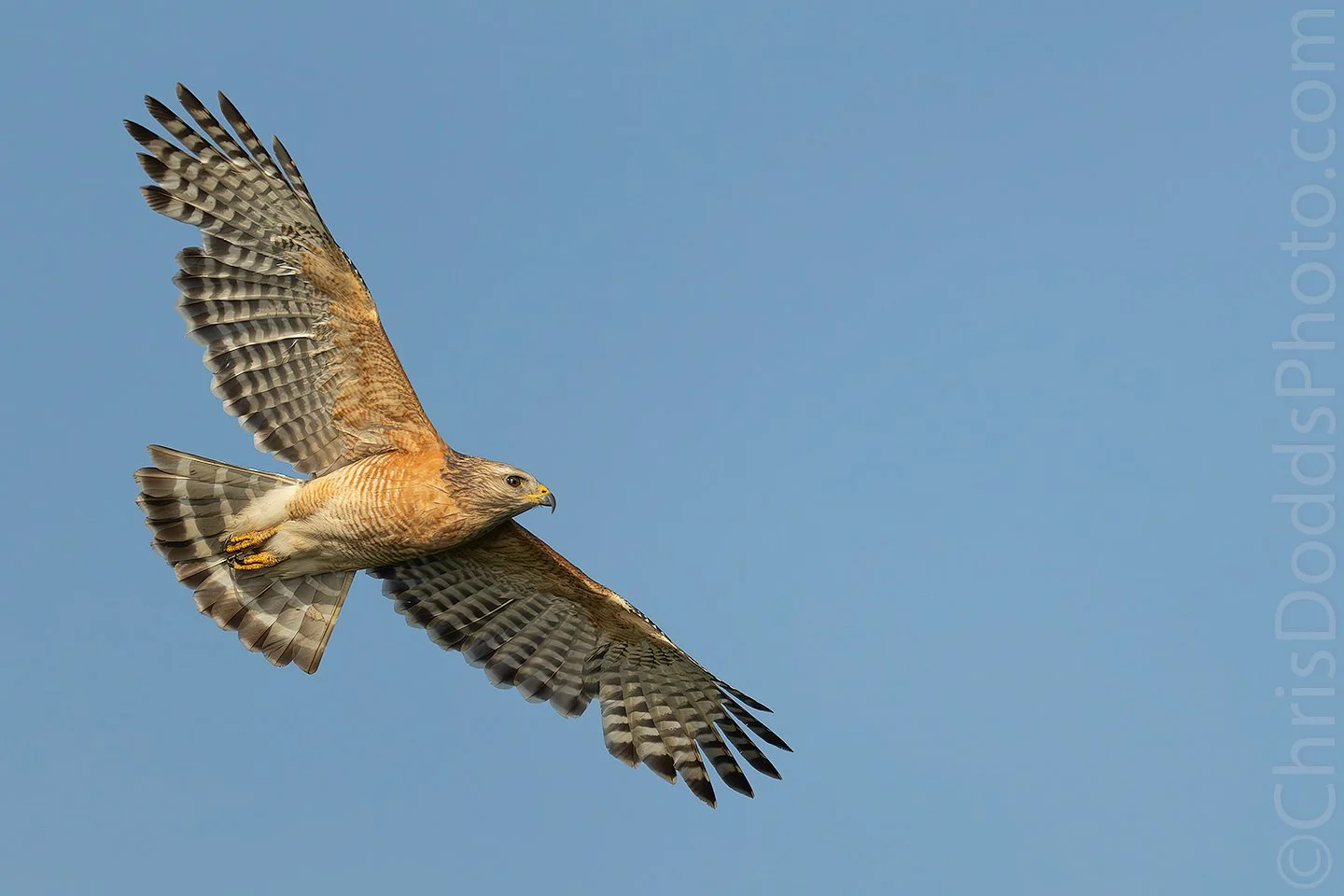 Nature Photography Blog