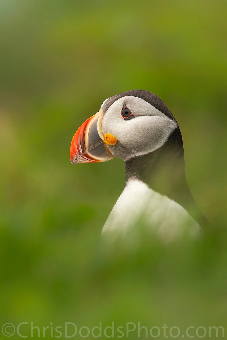 Nature Photography Blog
