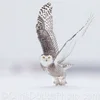 Snowy Owl ICE TALON — Nature Photography Blog