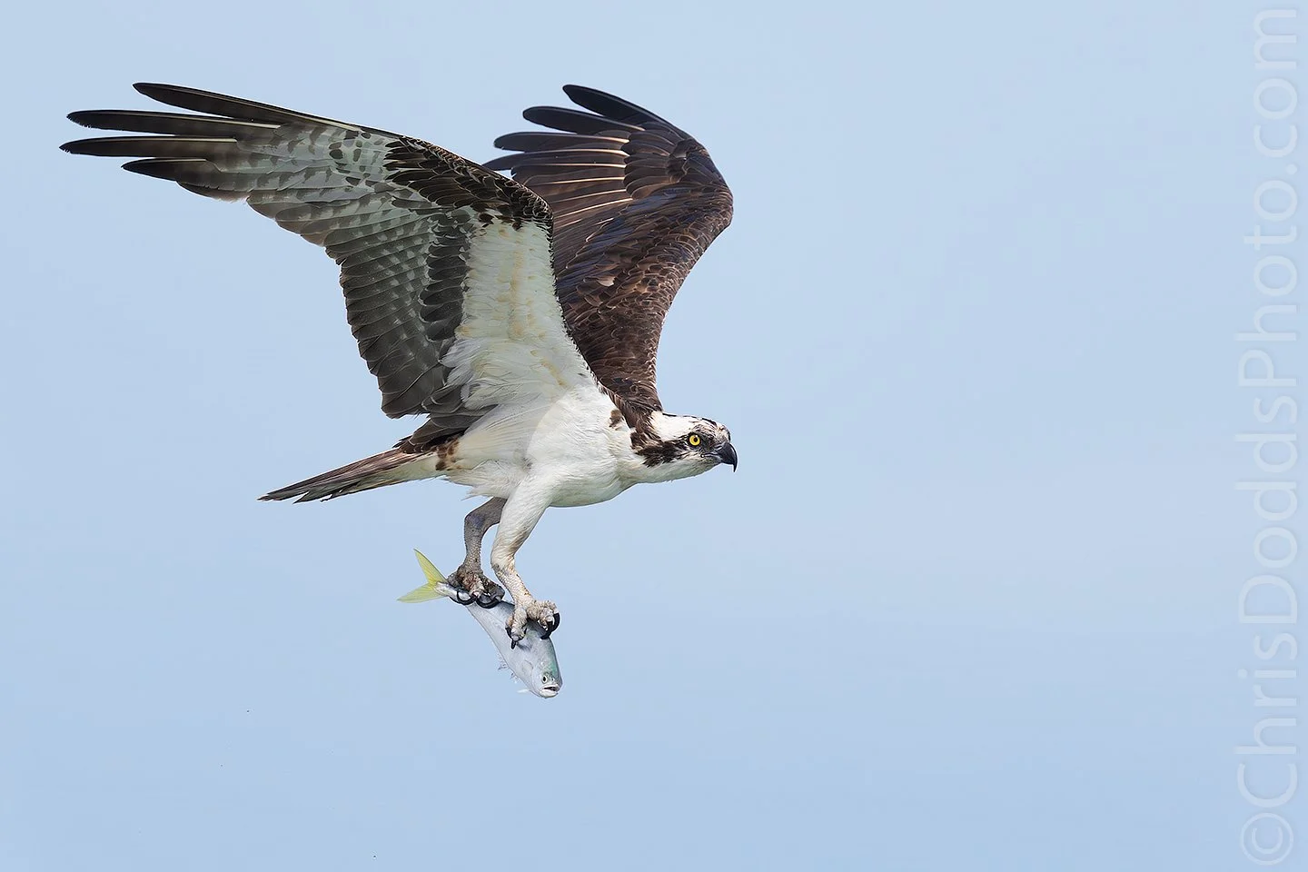 Nature Photography Blog