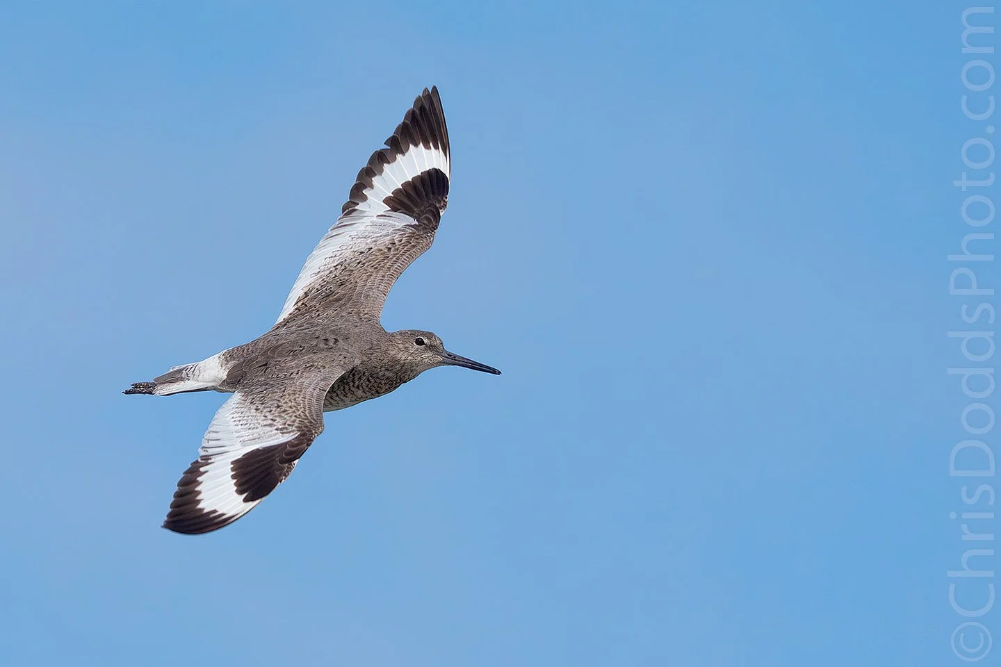 Nature Photography Blog