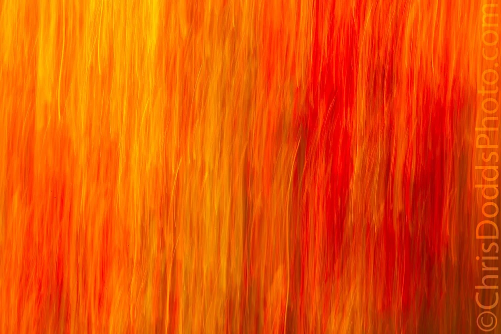 Autumn's Fire Abstract — Nature Photography Blog