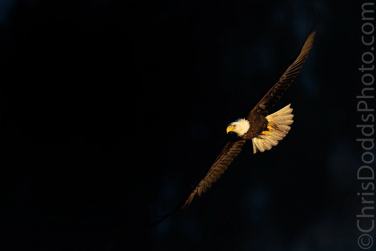 Nature Photography Blog