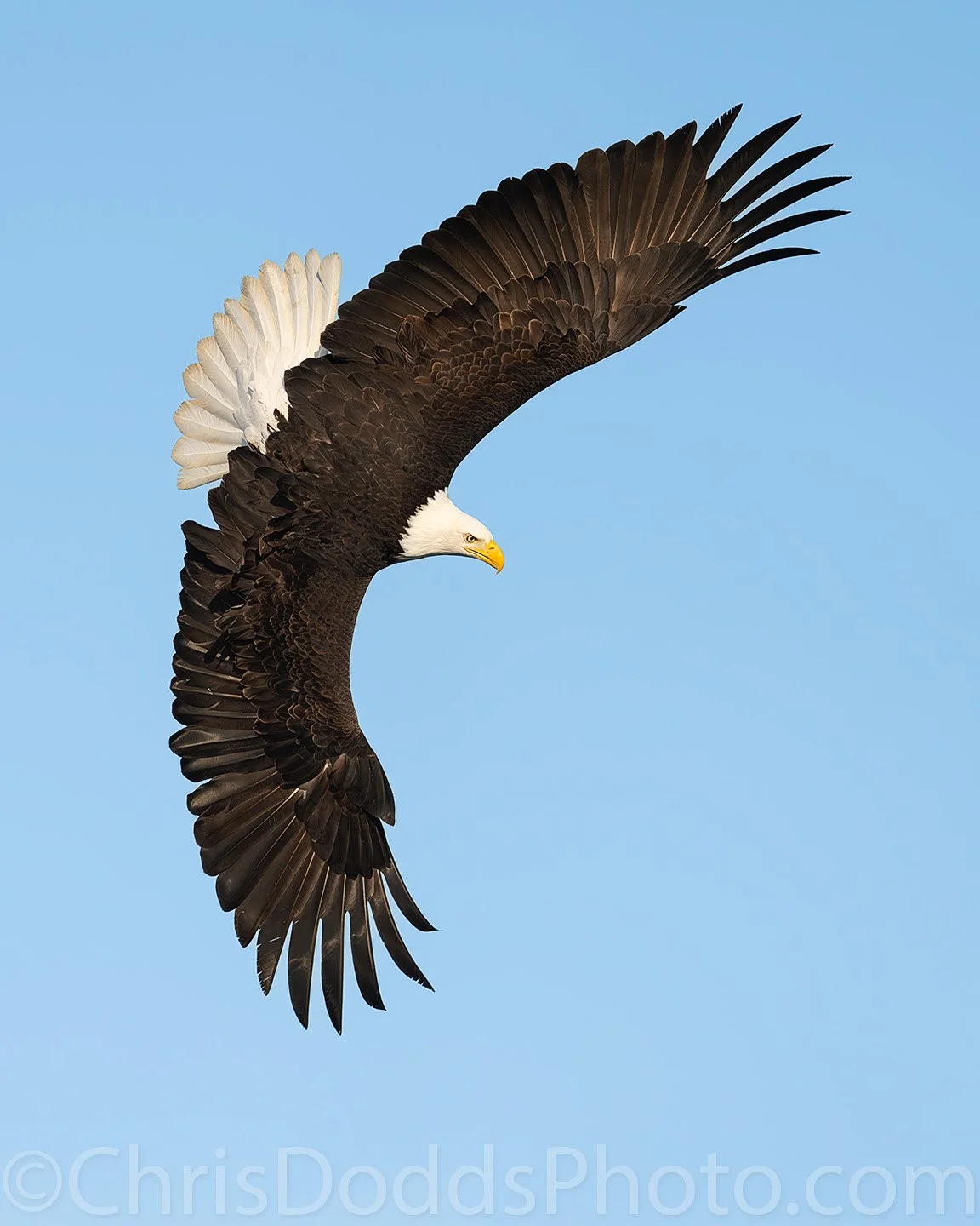Nature Photography Blog
