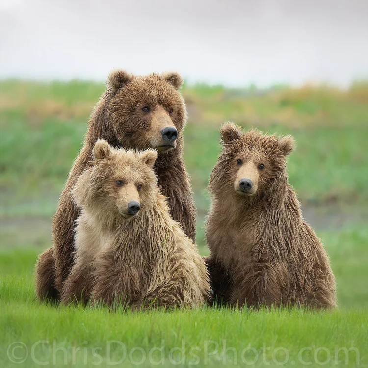 Nature Photography Blog