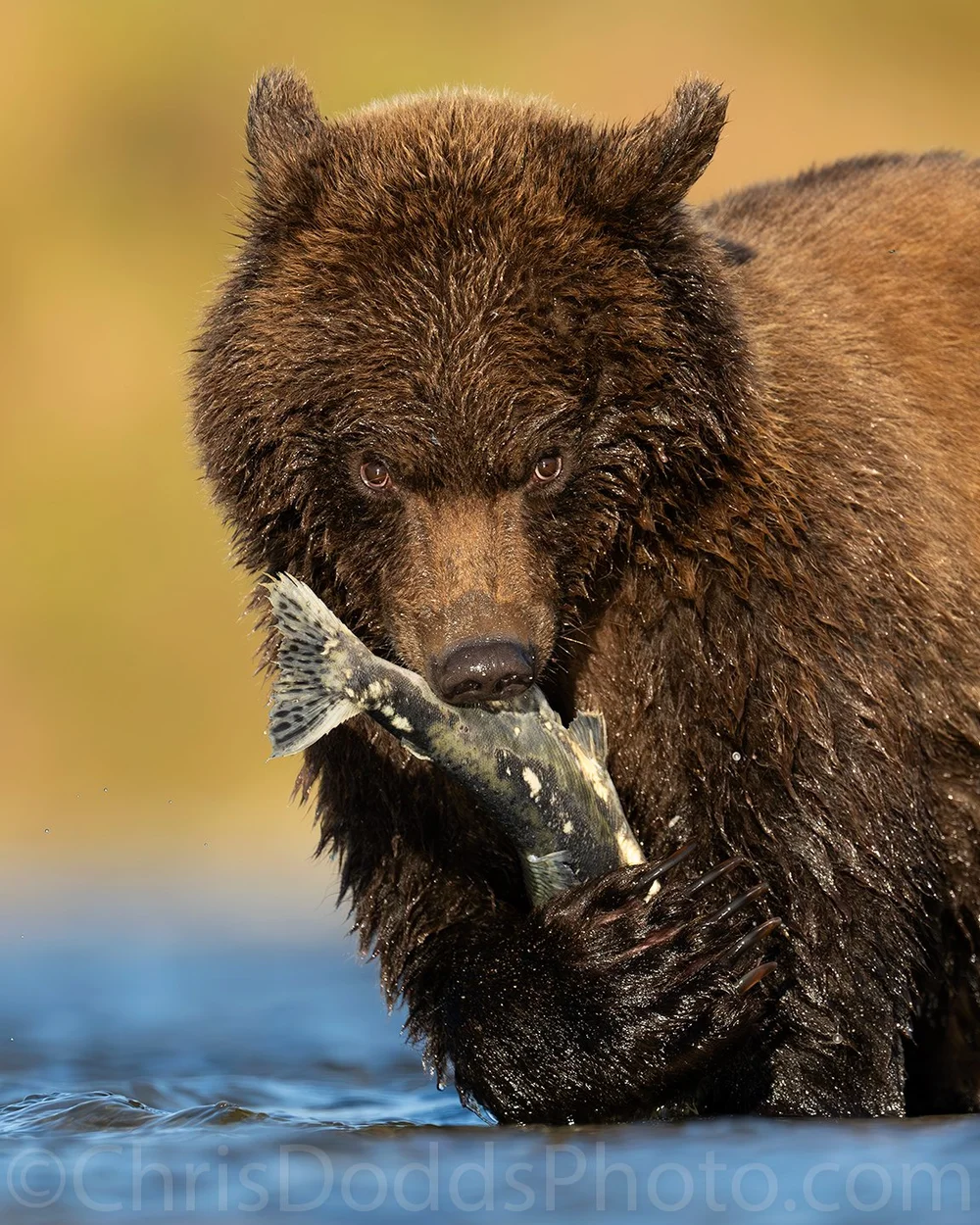 Nature Photography Blog