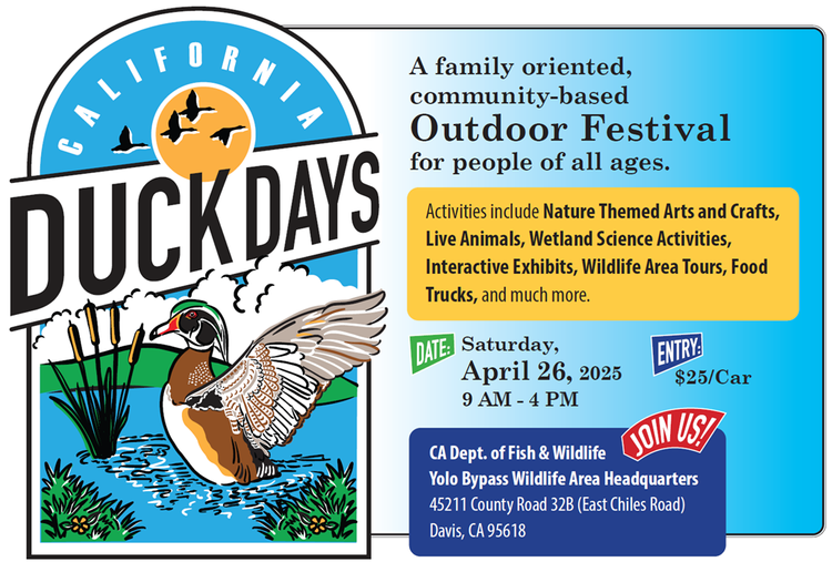 California Duck Days — Sacramento Audubon Society