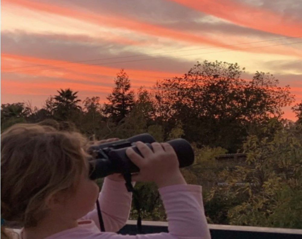Nature Bowl 2021: The Family Challenge Edition! — Sacramento Audubon ...