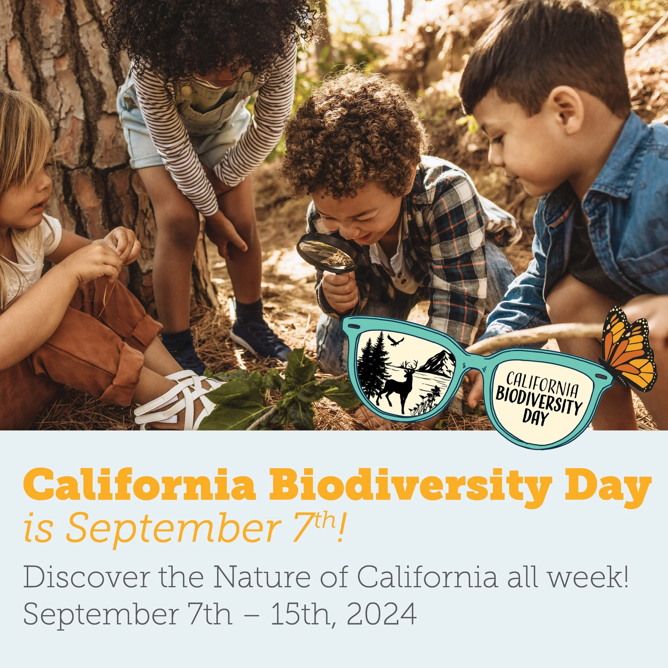Go Birding for California Biodiversity Day — Sacramento Audubon Society