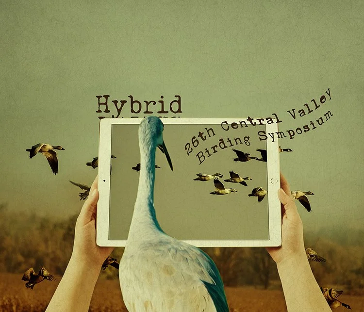 26th Central Valley Birding Symposium — Sacramento Audubon Society