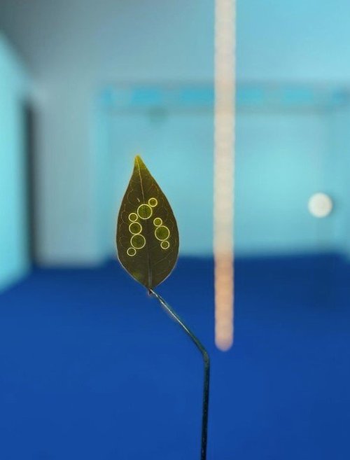 The Investigational Medicinal Product Dossier (IMPD): Essential CTA ...