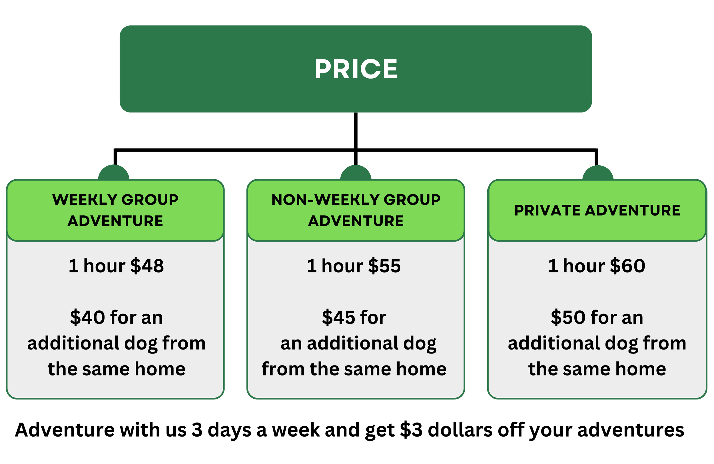 Dog Adventures — The People's Pup Adventures & Training