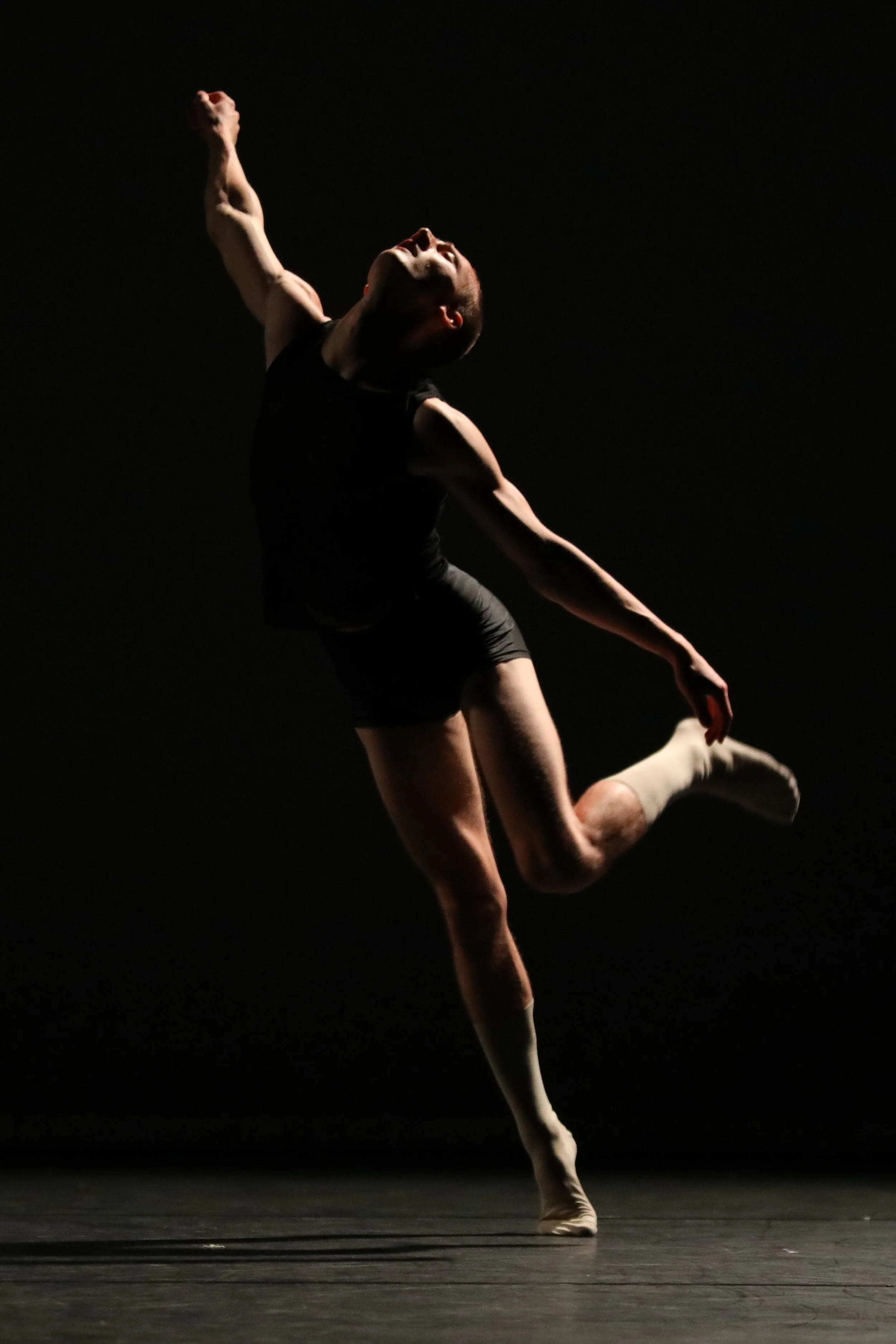 Gallery — Charlotte Edmonds