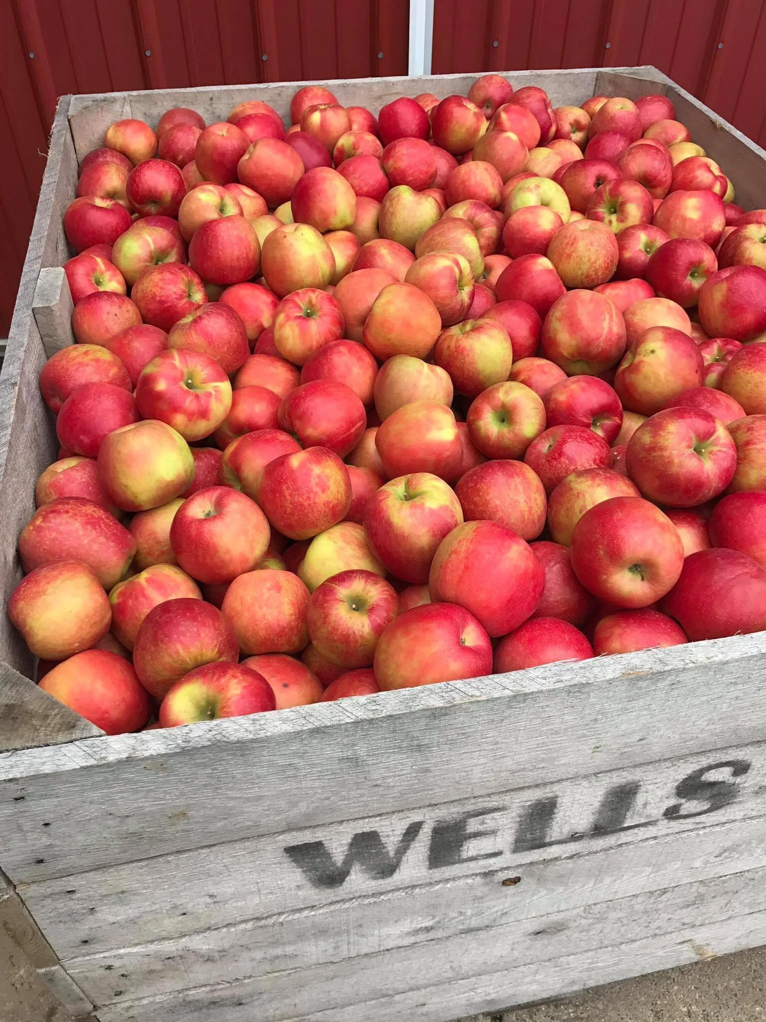 Wells Orchards