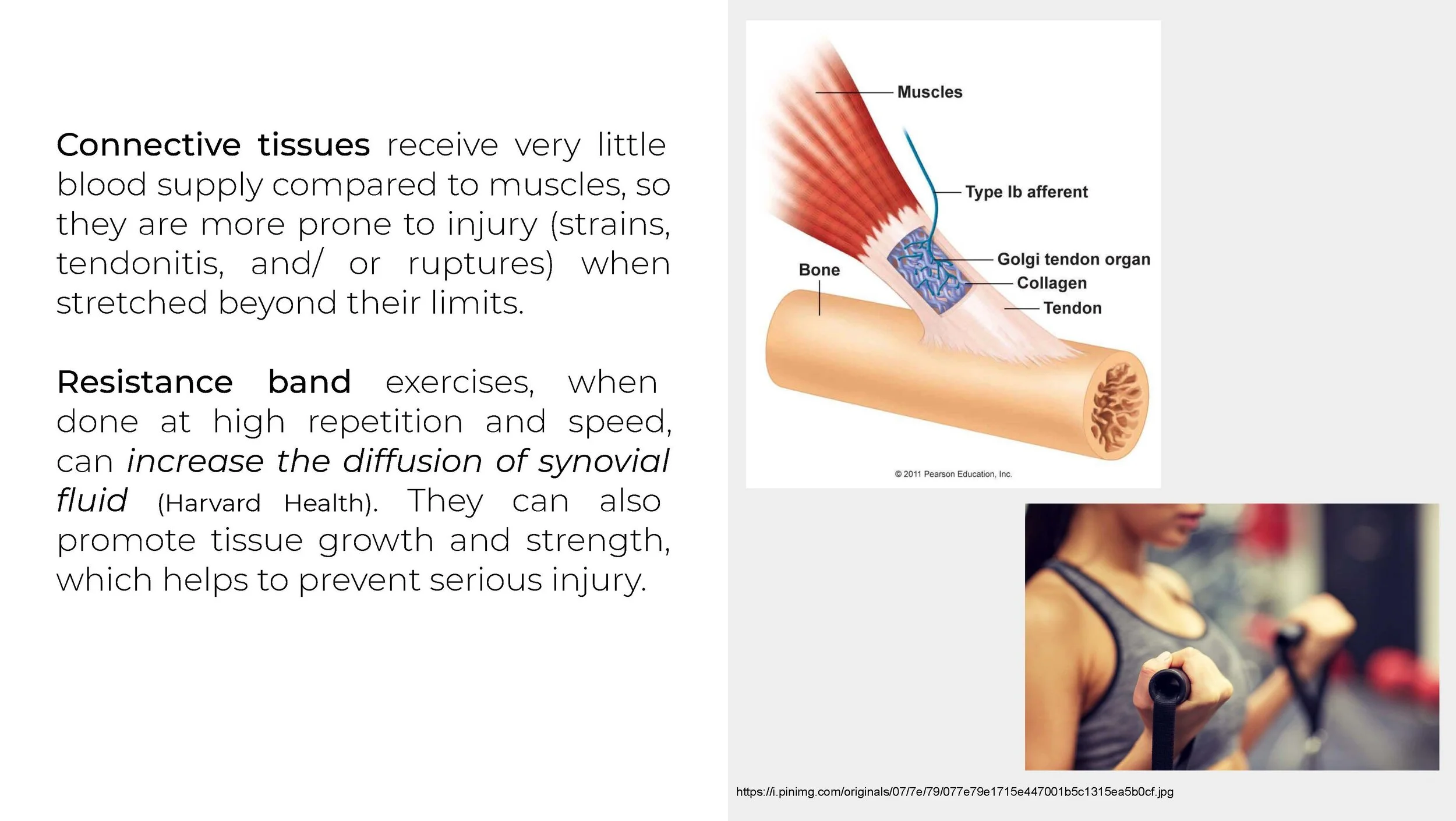 Tendon Training Device — Design Engineer | Daniel Jones | United States