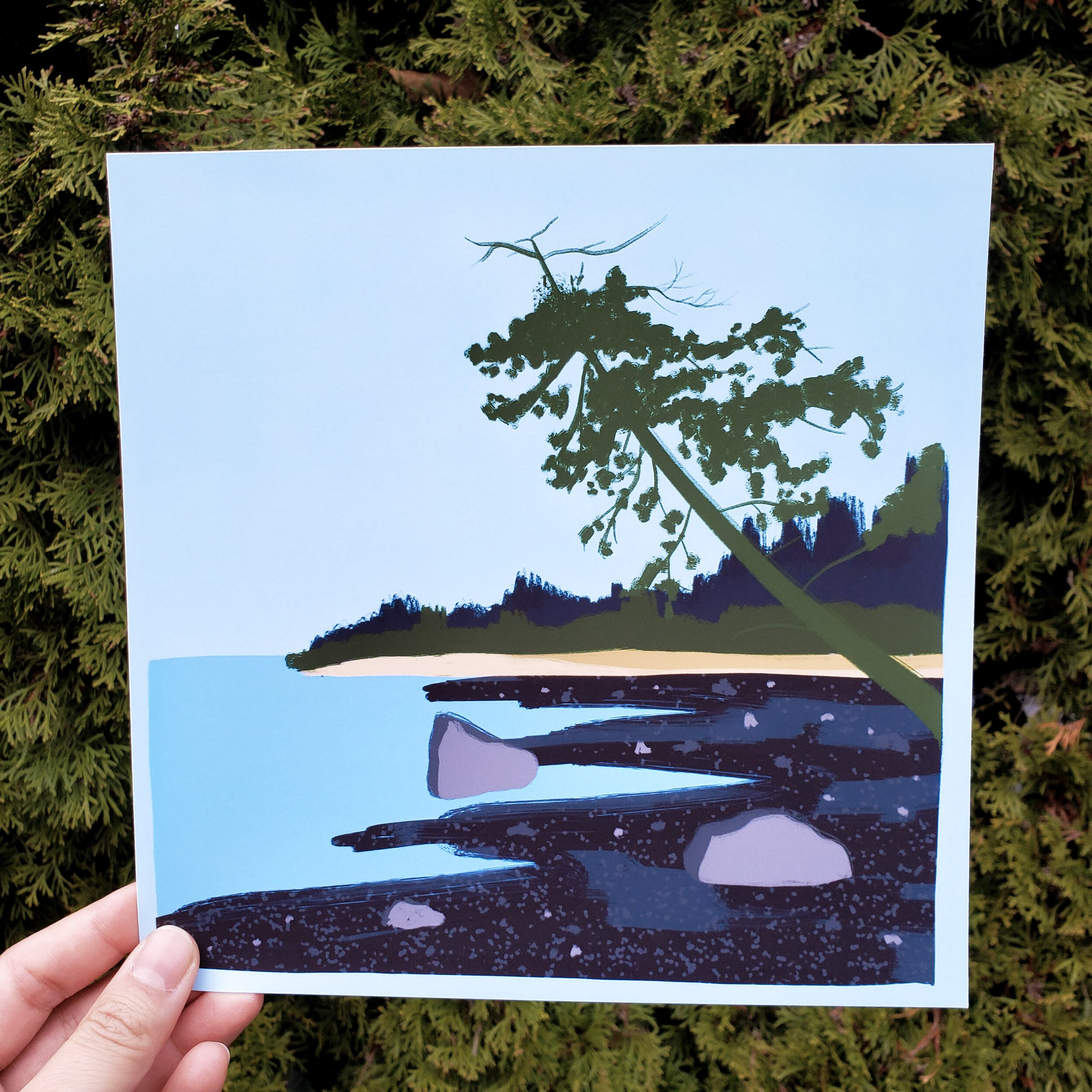 Mount Douglas Beach — Art by Sharon Lam