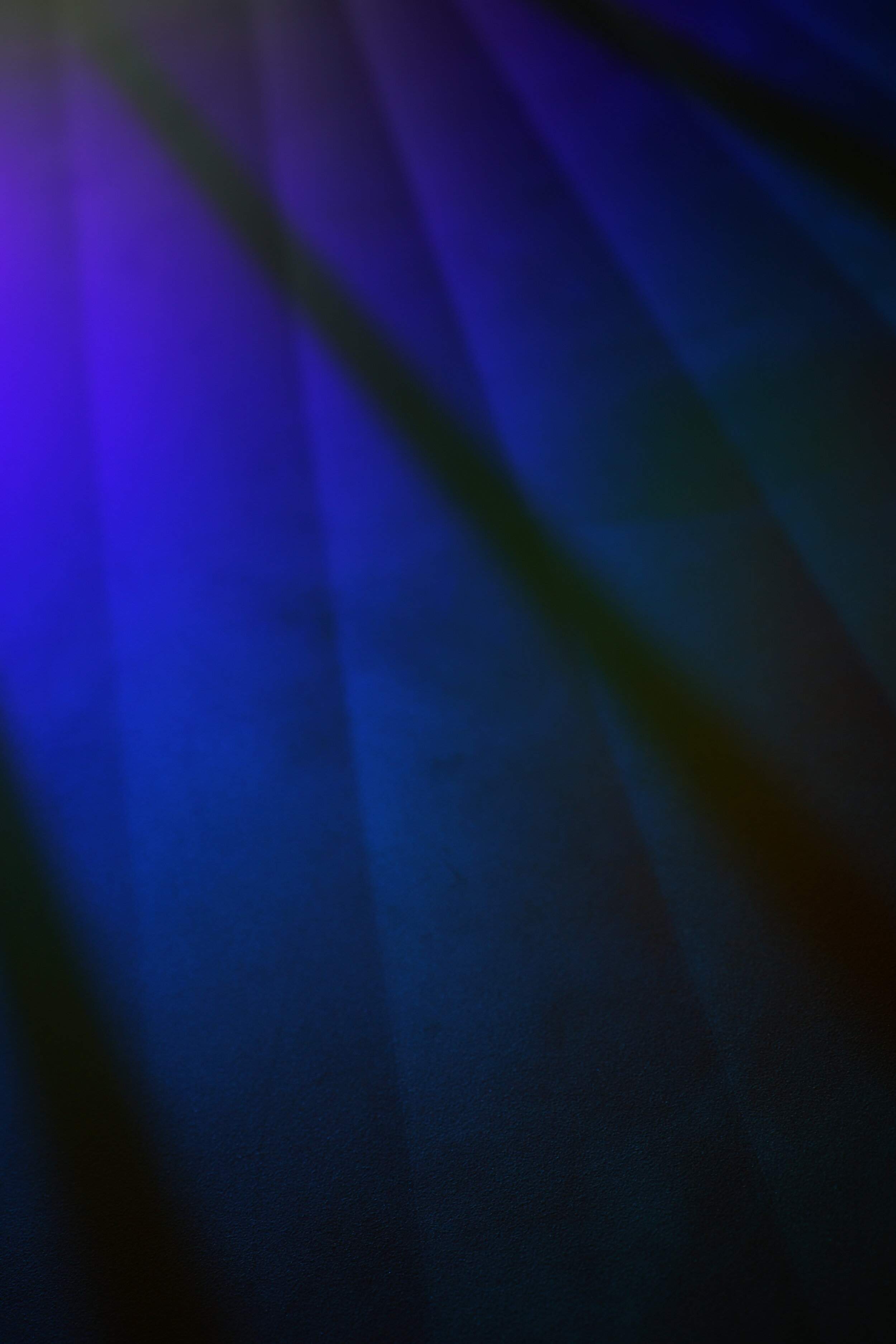 LIGHT INTO COLOUR STUDIES — Shahriar Asdollah-Zadeh