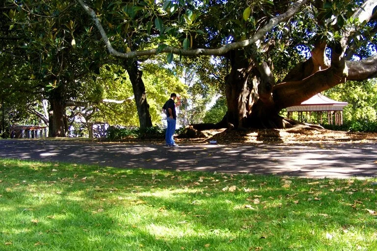 LITTLE PEOPLE PROTEST — Shahriar Asdollah-Zadeh