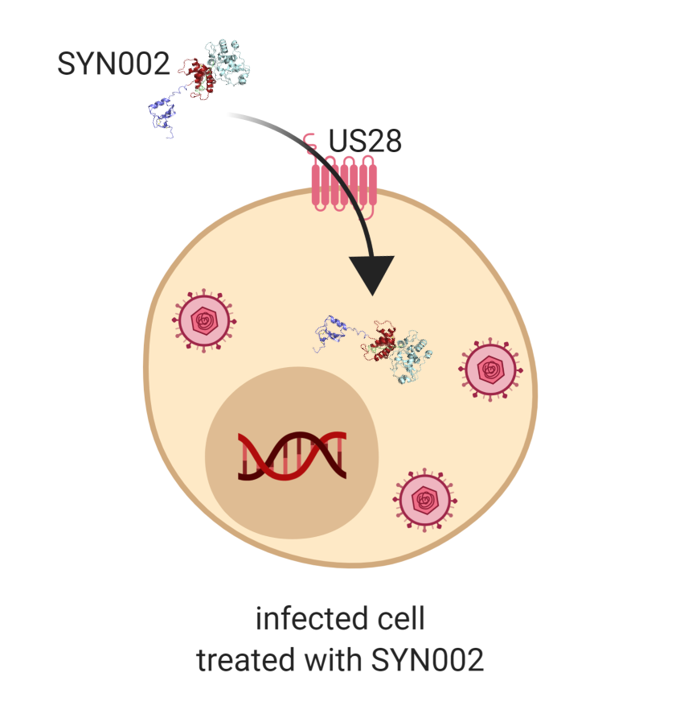 Science — Synklino