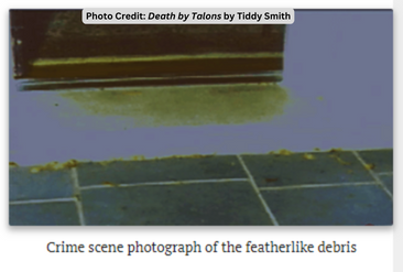 The Pop Culture of the Michael Peterson Case — Southern Fried True ...