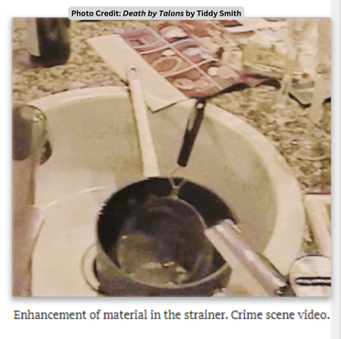 The Pop Culture of the Michael Peterson Case — Southern Fried True ...