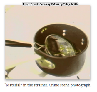 The Pop Culture of the Michael Peterson Case — Southern Fried True ...