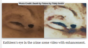 The Pop Culture of the Michael Peterson Case — Southern Fried True ...