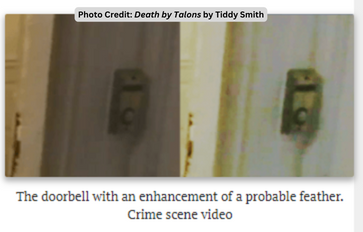 The Pop Culture of the Michael Peterson Case — Southern Fried True ...