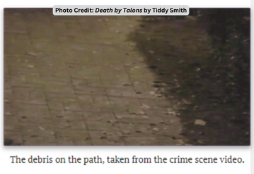 The Pop Culture of the Michael Peterson Case — Southern Fried True ...