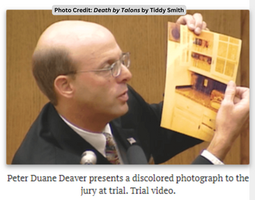 The Pop Culture of the Michael Peterson Case — Southern Fried True ...