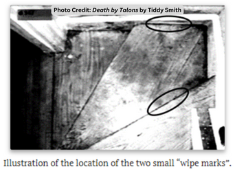 The Pop Culture of the Michael Peterson Case — Southern Fried True ...