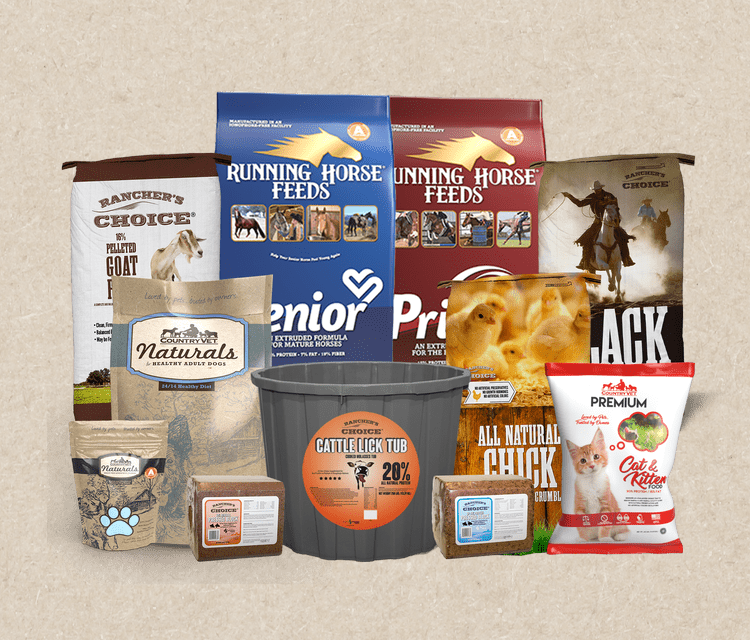 Consumers Supply Distributing