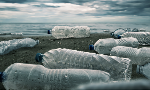 Why is Earth Day Important? — World Peace Association