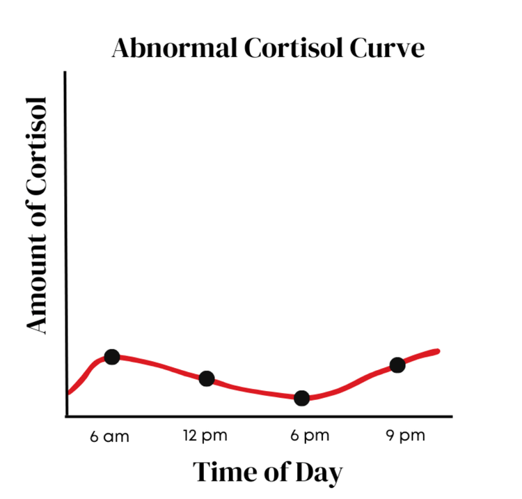 Feeling Exhausted? Learn the Signs of Low Cortisol and What You Can Do ...