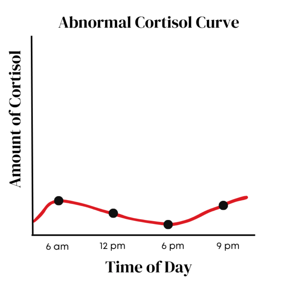 Constantly Exhausted? Learn How to Boost Low Cortisol Levels Naturally ...