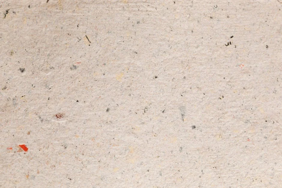 Eco-Conscious Printing: Best Recycled Printer Papers Reviewed — Eco ...