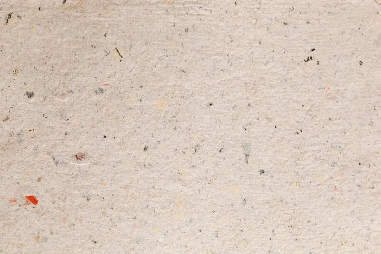 Eco-Conscious Printing: Best Recycled Printer Papers Reviewed — Eco ...