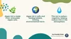 Eco-Friendly Inks: A Comprehensive Guide to Sustainable Printing — Eco ...